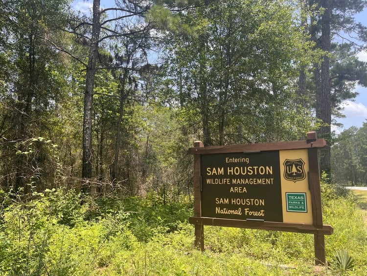 Sam Houston National Forest | BeachBox Vacation Rentals